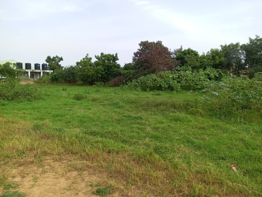 220 Acres of land for sale at Begoro Police Station - Prop-Tis GH